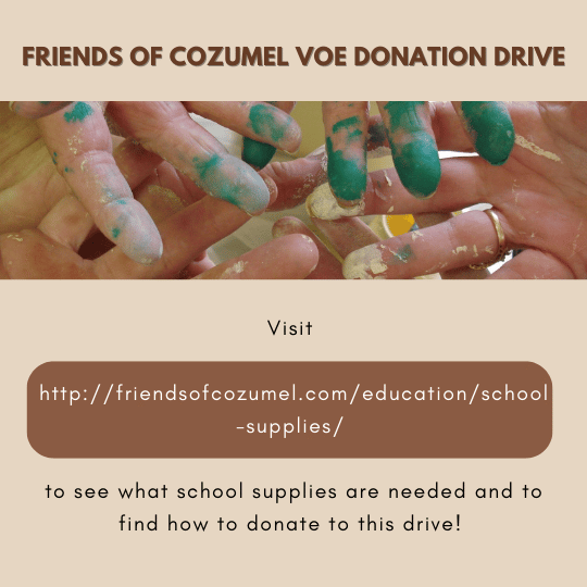 Shining a Light on Empowering Others - Empowering Differences